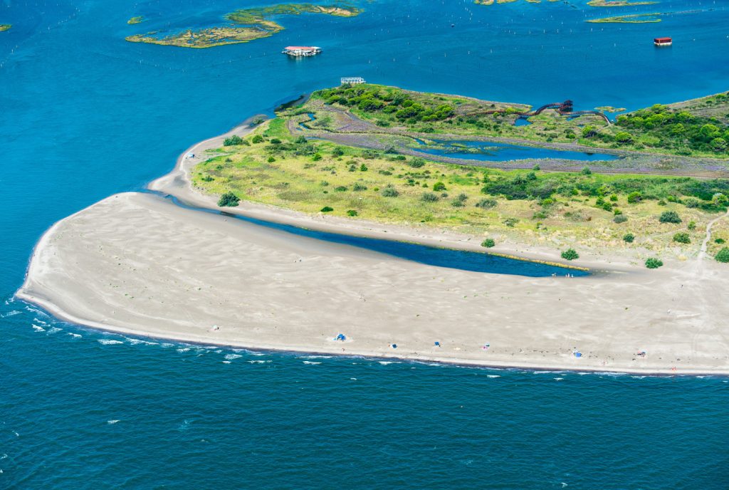 Boat Tours from Rosolina Mare | Explore the Po Delta by Sea